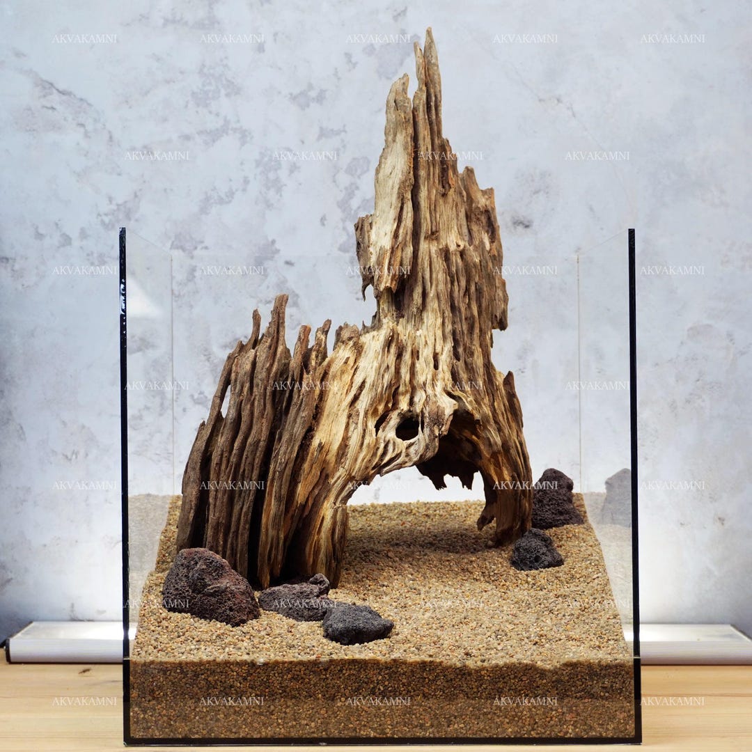 Roots and Stone for Design Aquarium. Dragonwood Natural Lava Stone ...