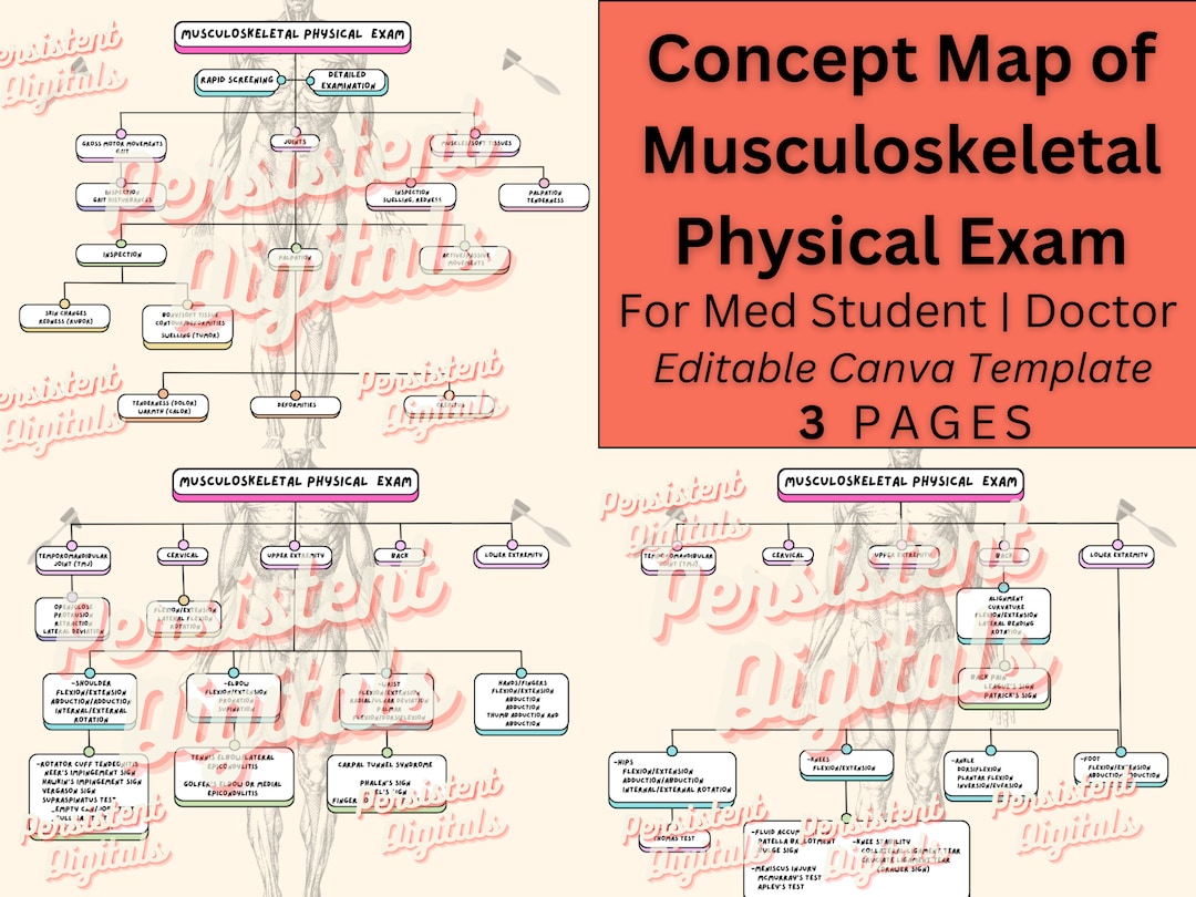 Concept Map of Musculoskeletal Physical Examination for Medical Student ...
