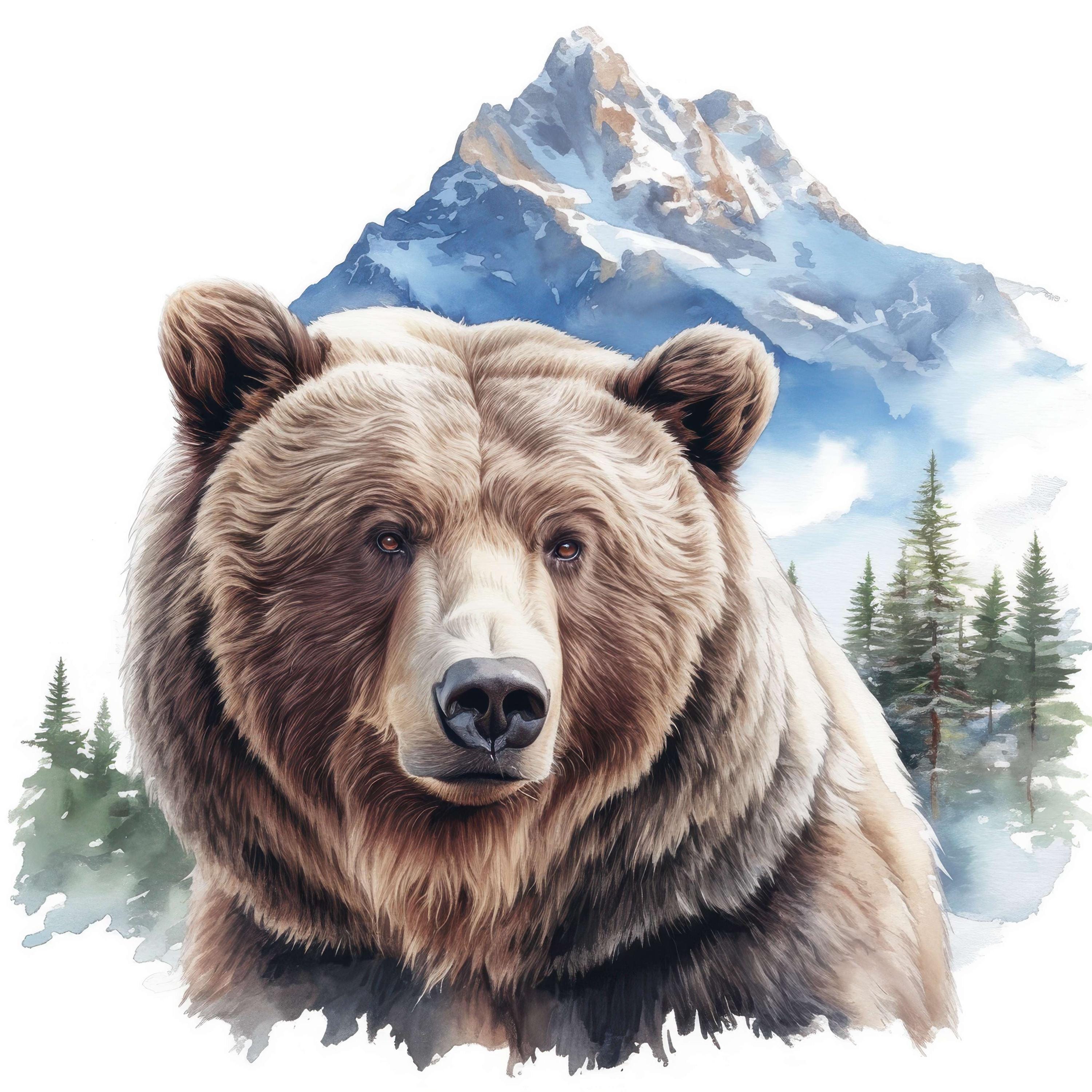 14 Winter Bear Clipart Bundle, Bear in Snow Illustrations, Printable ...