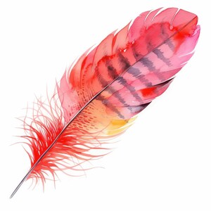 15 Red Bird Feather Clipart Bundle, Gorgeous Feather, Printable ...
