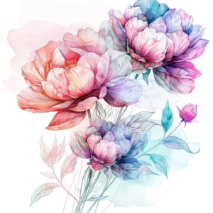 Abstract Peonies Clipart Bundle, Peonies Print, Printable Watercolor ...