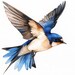 15 Swallow Bird Clipart Bundle, Bird Flying Images Illustrations ...