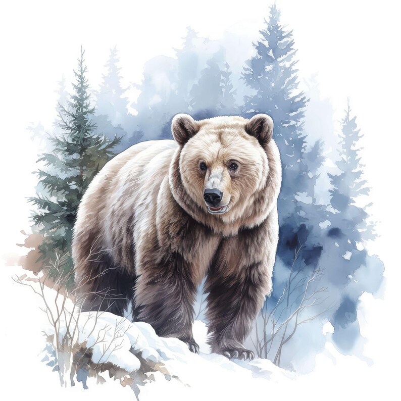 14 Winter Bear Clipart Bundle, Bear in Snow Illustrations, Printable ...