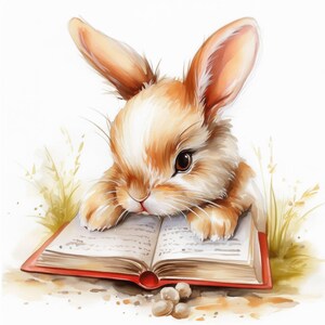 15 Bunny Reading Book Clipart Bundle, Cute Bunny Illustrations ...