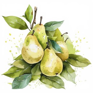 20 Pear Clipart Bundle, Printable Watercolor Pear Fruit Clipart, High ...