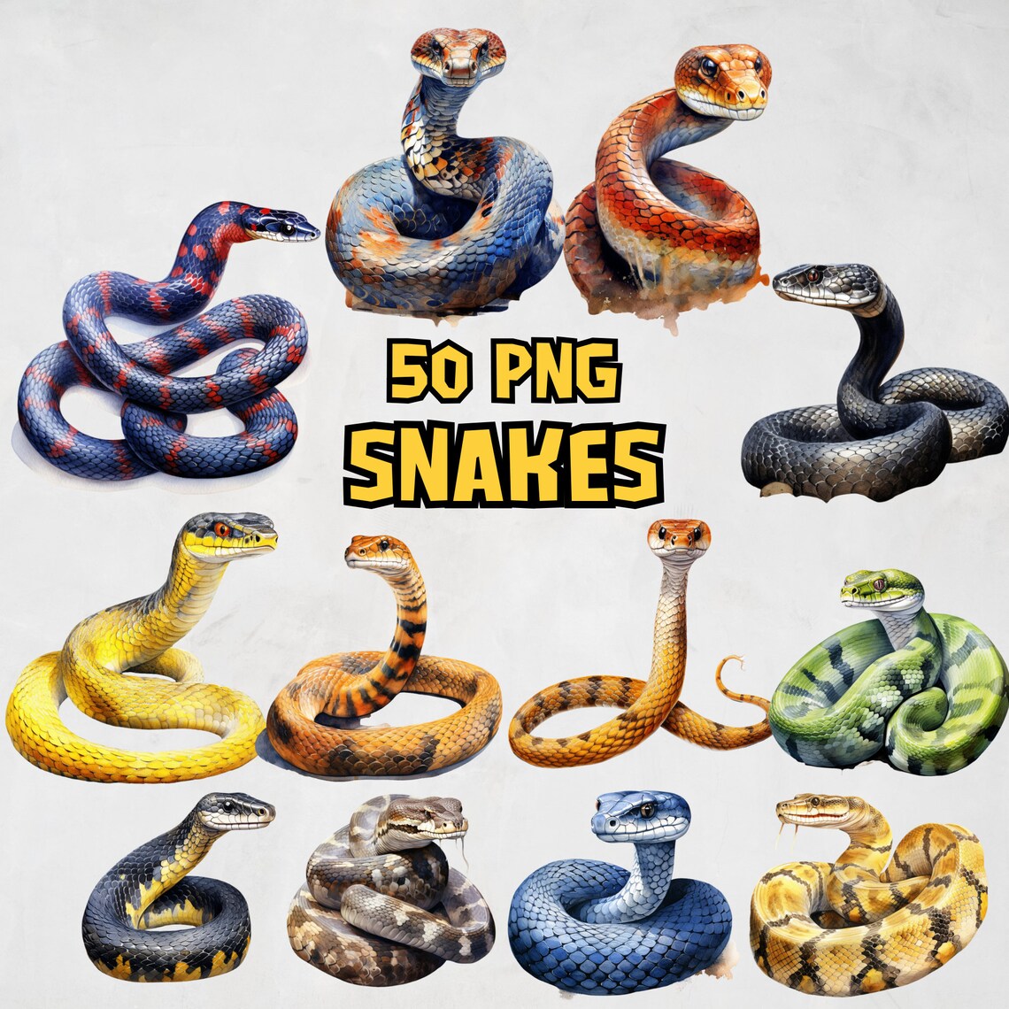 Watercolor Snakes Clipart Bundle, Cobra, Black Mamba, Anaconda, Viper ...