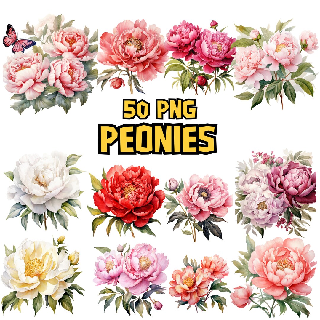 Watercolor Peonies Clipart | Spring Flower, Floral Bouquet, Pink, Red ...