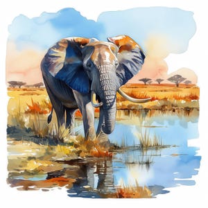 15 Elephant at Safari Clipart Bundle, Printable Watercolor Safari ...