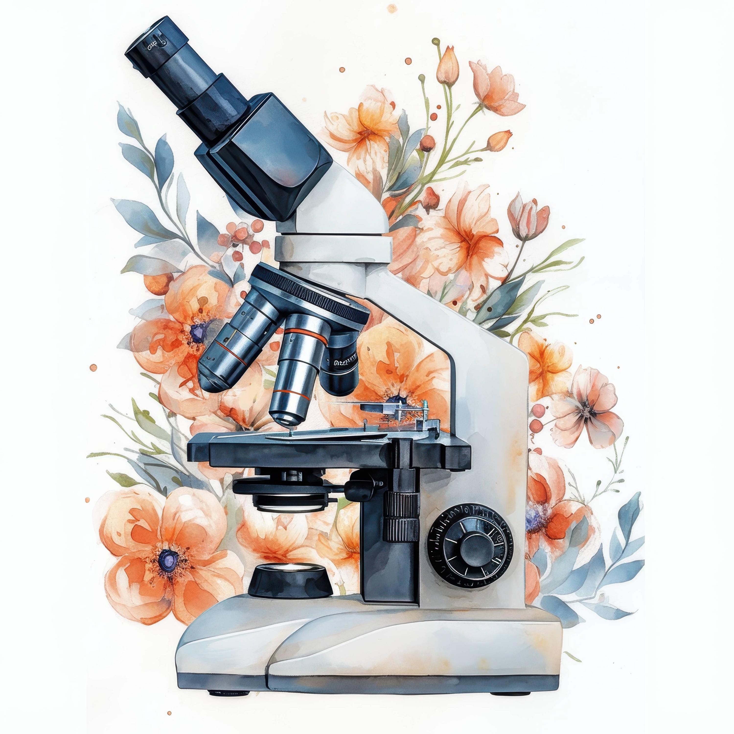 10 Microscope Clipart Set, Science Equipment Illustrations, Printable ...