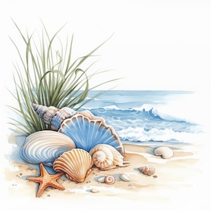 15 Tropical Beach Shells Clipart Bundle, Printable Watercolor Summer ...