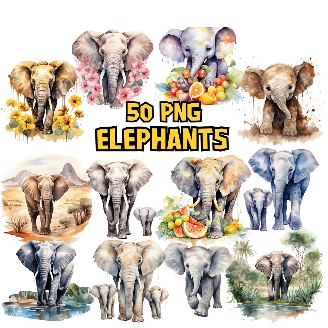 Watercolor Elephants Clipart Bundle, Painted Elephants Illustrations ...