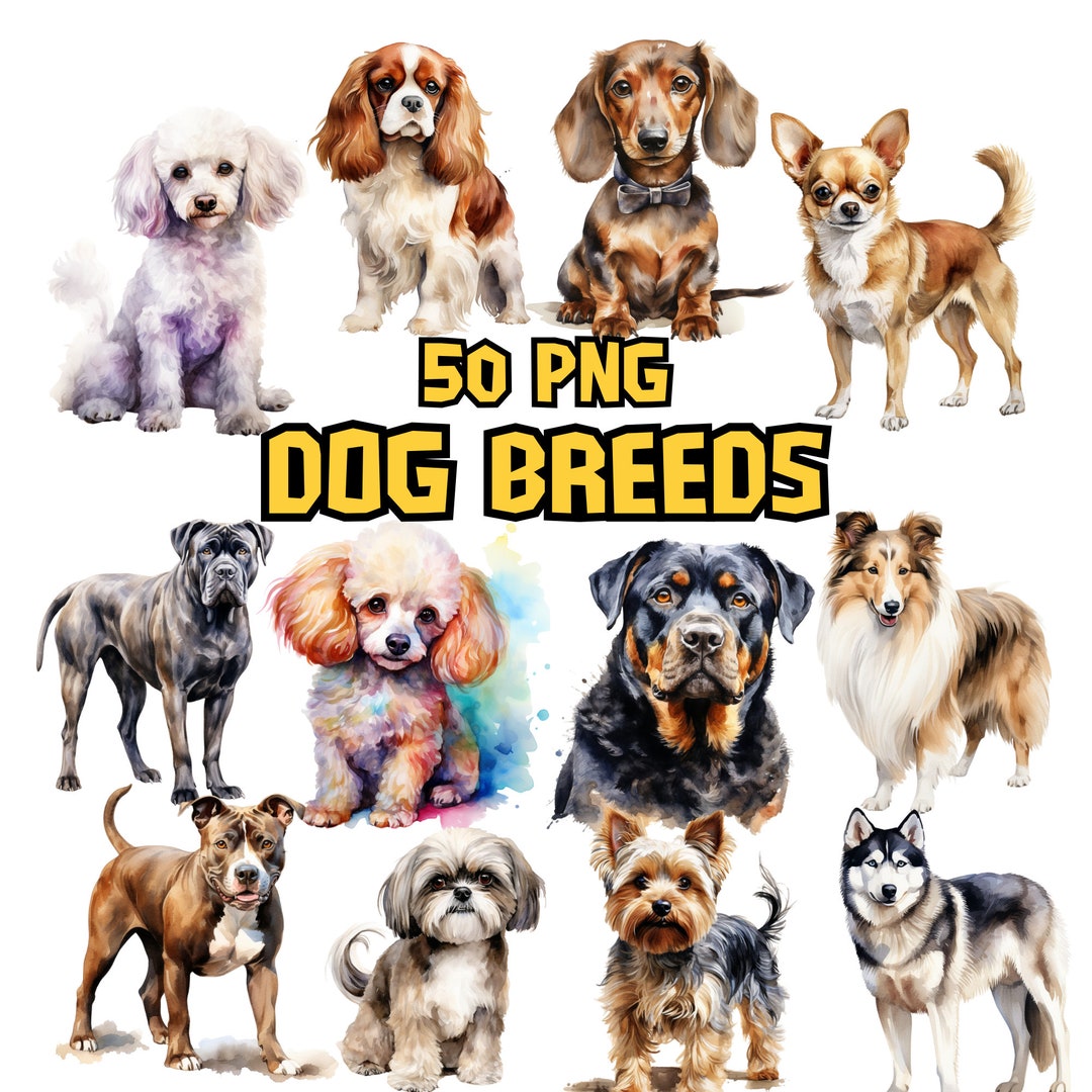 Watercolor Dog Breeds Clipart, Dog Clipart Set, Puppy PNG Graphics ...