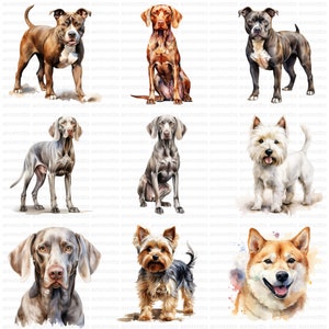 Watercolor Dog Breeds Clipart, Dog Clipart Set, Puppy PNG Graphics ...