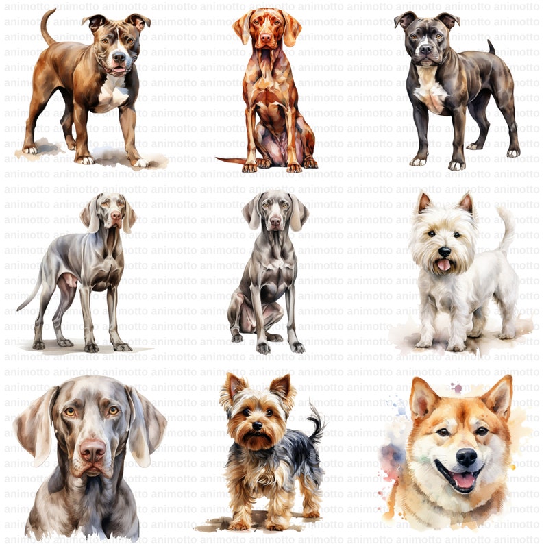 Watercolor Dog Breeds Clipart, Dog Clipart Set, Puppy PNG Graphics ...