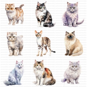 Watercolor Cat Breeds Clipart Bundle, Cute Cats Clipart Set, Kitten PNG ...