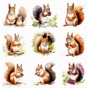 Watercolor Squirrels Clipart Bundle, Happy Squirrel PNG Graphics ...
