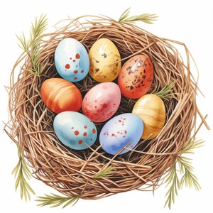 12 Easter Egg Nest Clipart Bundle, Bird Nest Images Illustrations ...