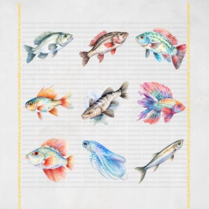Watercolor Fishes Clipart Bundle | Underwater Animals Clipart Set, Sea ...