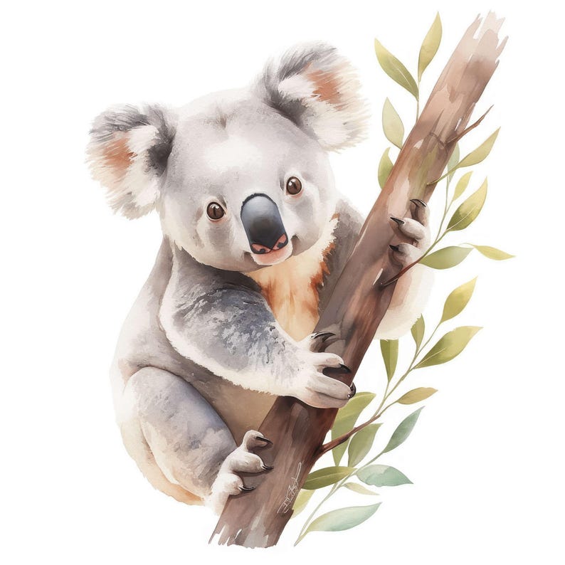 18 Baby Koala Clipart Set, Printable Watercolor Cute Koala Bear Clipart ...