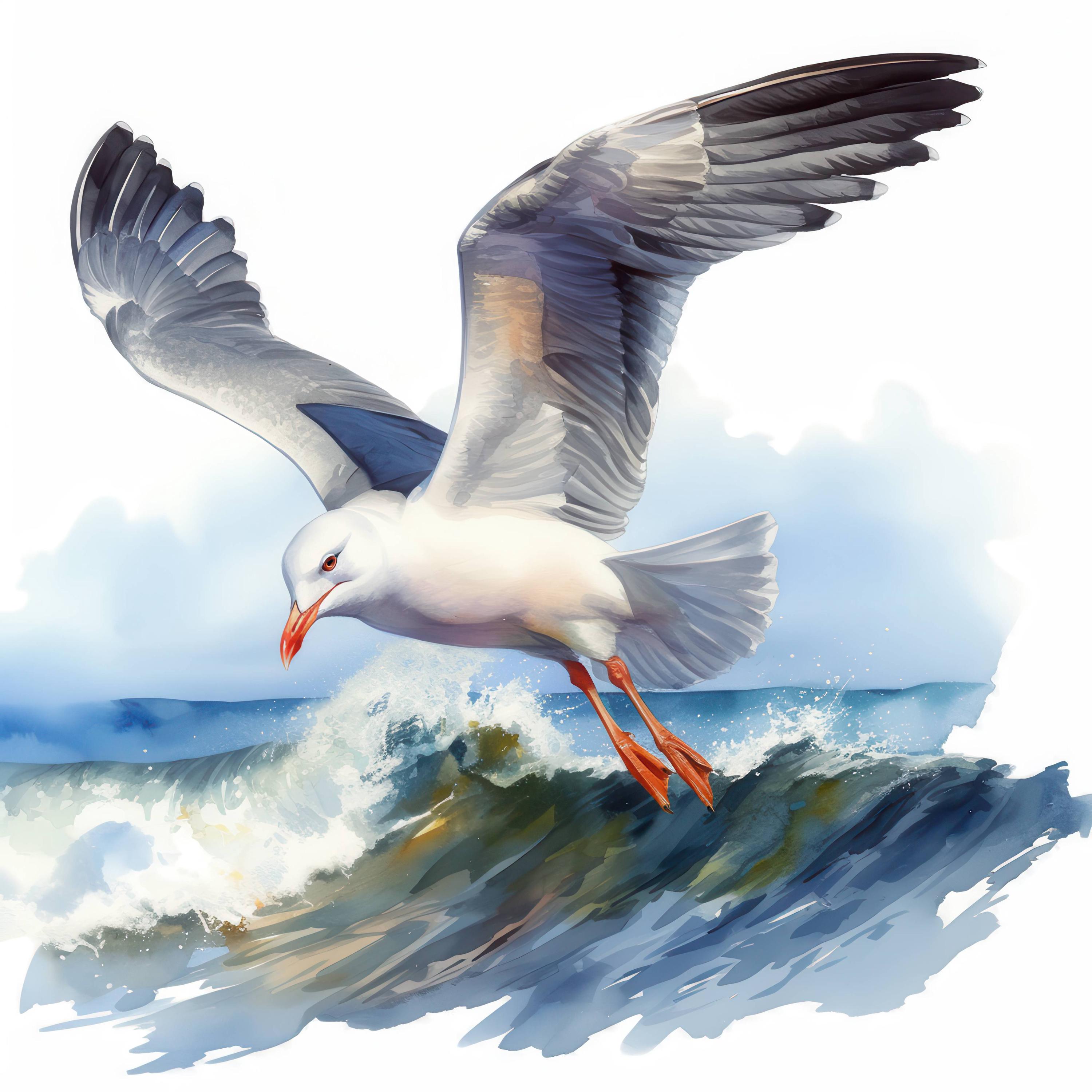 14 Seagull Collection Clipart Bundle, Printable Watercolor Marinegull ...