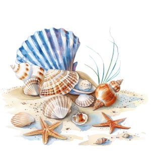 11 Watercolor Seashells and Beach Clipart, Summer Clipart, Nautical ...