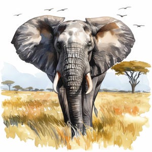 15 Elephant at Safari Clipart Bundle, Printable Watercolor Safari ...