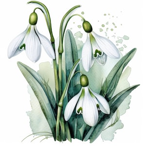 14 Snowdrops Clipart Bundle , Spring Flowers Clipart Set, Printable ...