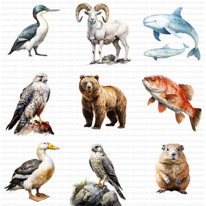 Watercolor Tundra Animals Clipart Bundle, Seal, Swan, Siberian Tiger ...