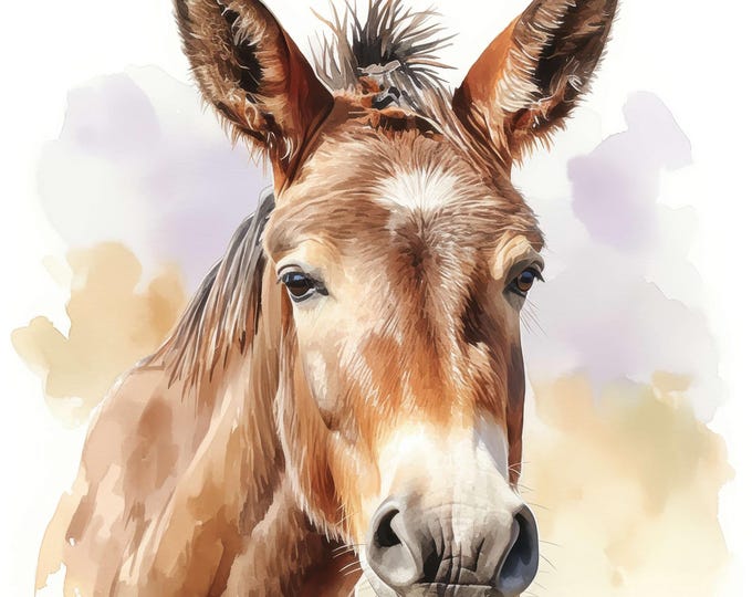 Donkey Clipart, Watercolor Donkey Clipart Digital Paper Commercial Use ...