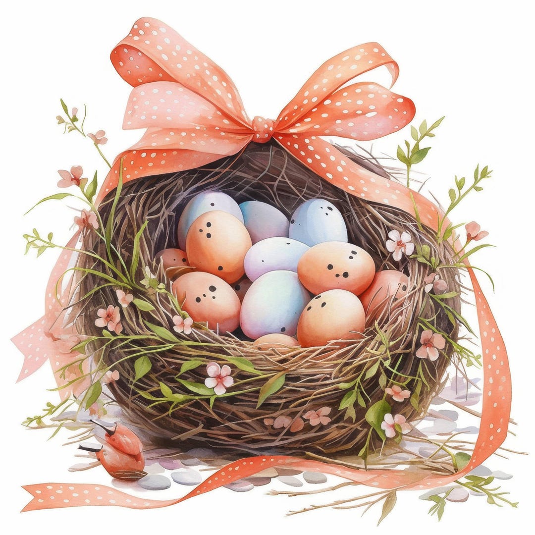 12 Easter Egg Nest Clipart Bundle, Bird Nest Images Illustrations ...
