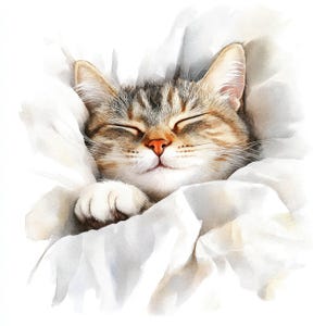 18 Sleeping Kitten Clipart, Cute Cat Clipart, Printable Watercolor ...