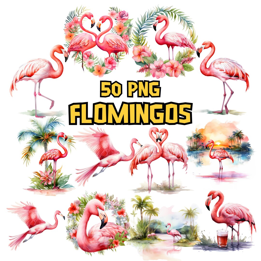 Watercolor Flamingos Clipart Bundle, Tropical Bird Clipart Set, Pink ...
