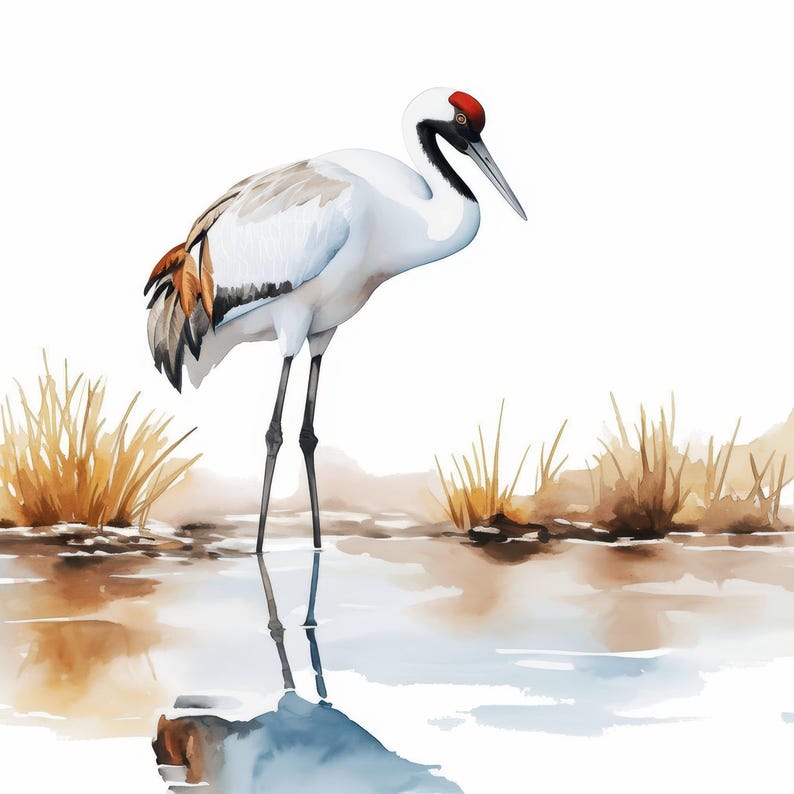 13 Crane in Water Clipart Bundle, Serene Scene Illustrations, Printable ...