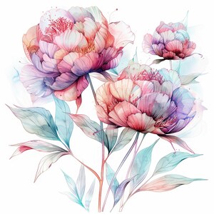 Abstract Peonies Clipart Bundle, Peonies Print, Printable Watercolor ...