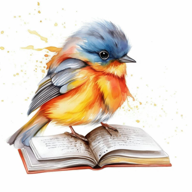 12 Bird Reading Book Clipart Set, Whimsical Illustrations, Printable ...