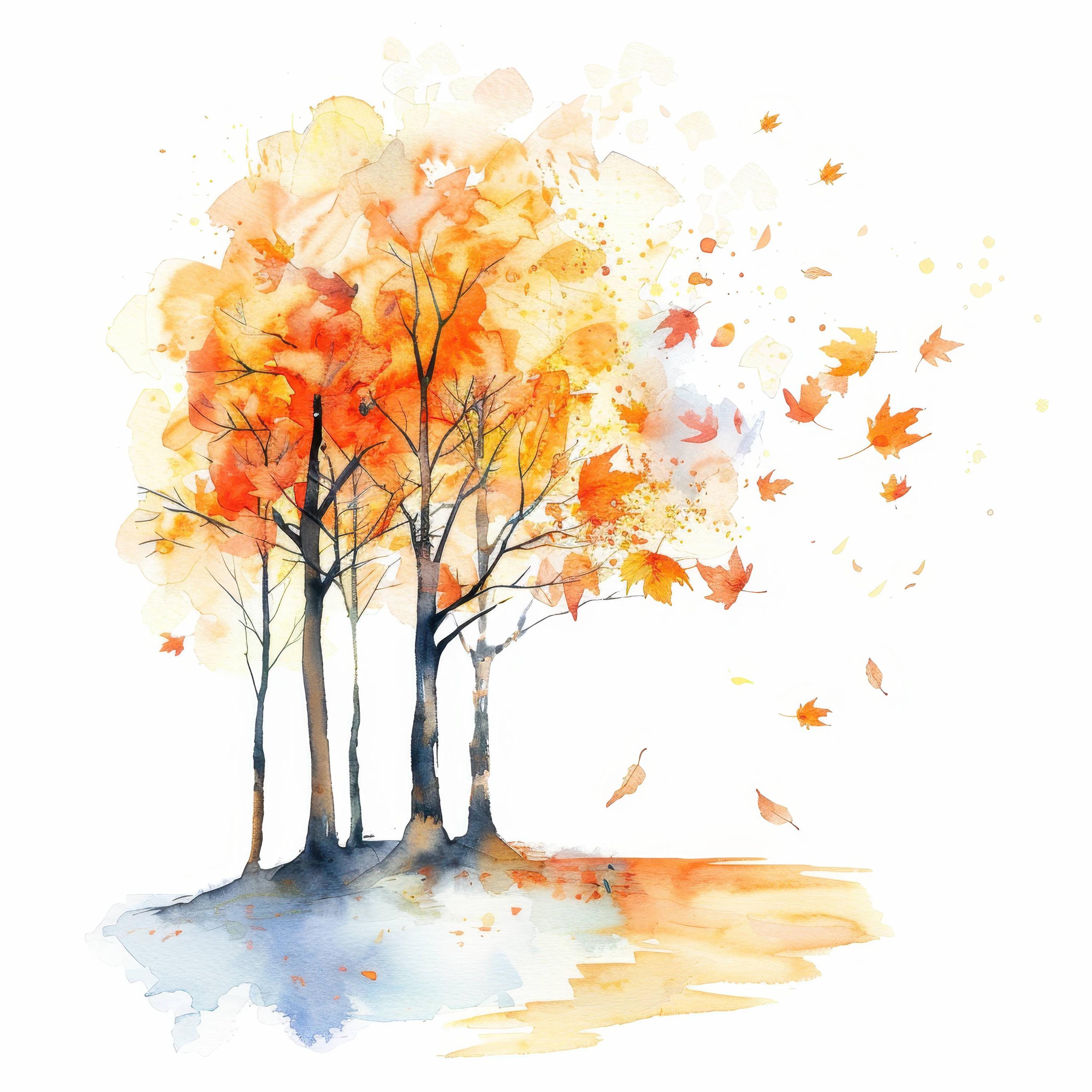 Set of 19 Autumn Tree Leaf Clipart Image Bundle, Autumn Clipart, High ...