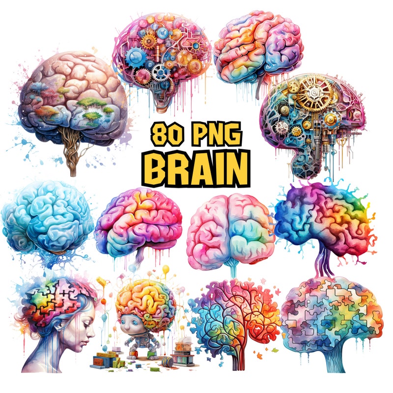 Anatomical Brain Canvas - Etsy