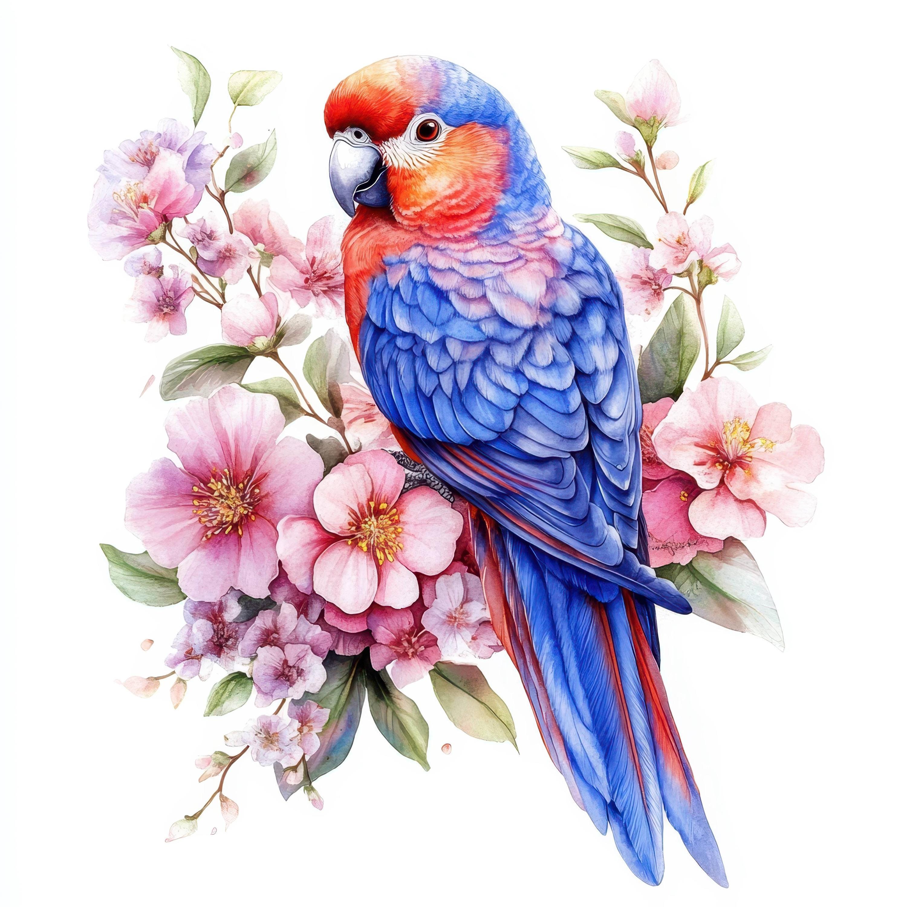 15 Charming Parrots Clipart Bundle, Floral Lorikeet Illustration ...
