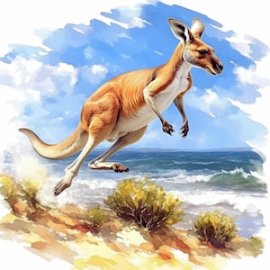 15 Australian Kangaroo Clipart Bundle, Kangaroo Prints Images ...