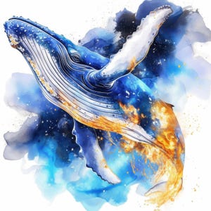 13 Whale Art Clipart Bundle, Ocean Whale Images Illustrations ...