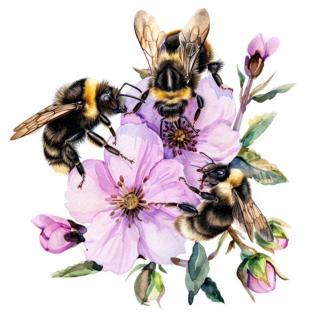 11 Bees With Flowers Clipart Bundle, Floral Bees, Printable Watercolor ...