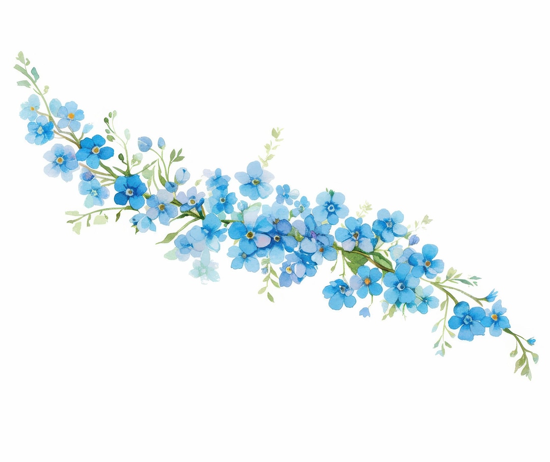 12 Forget Me Not Borders Clipart Bundle, Floral Frame Clipart ...