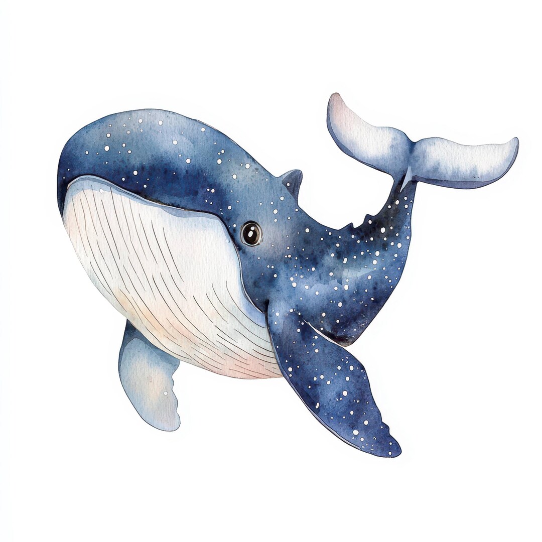 18 Baby Whale Clipart Bundle, Whale Illustration, Printable Watercolor ...