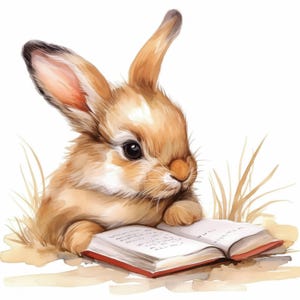 15 Bunny Reading Book Clipart Bundle, Cute Bunny Illustrations ...