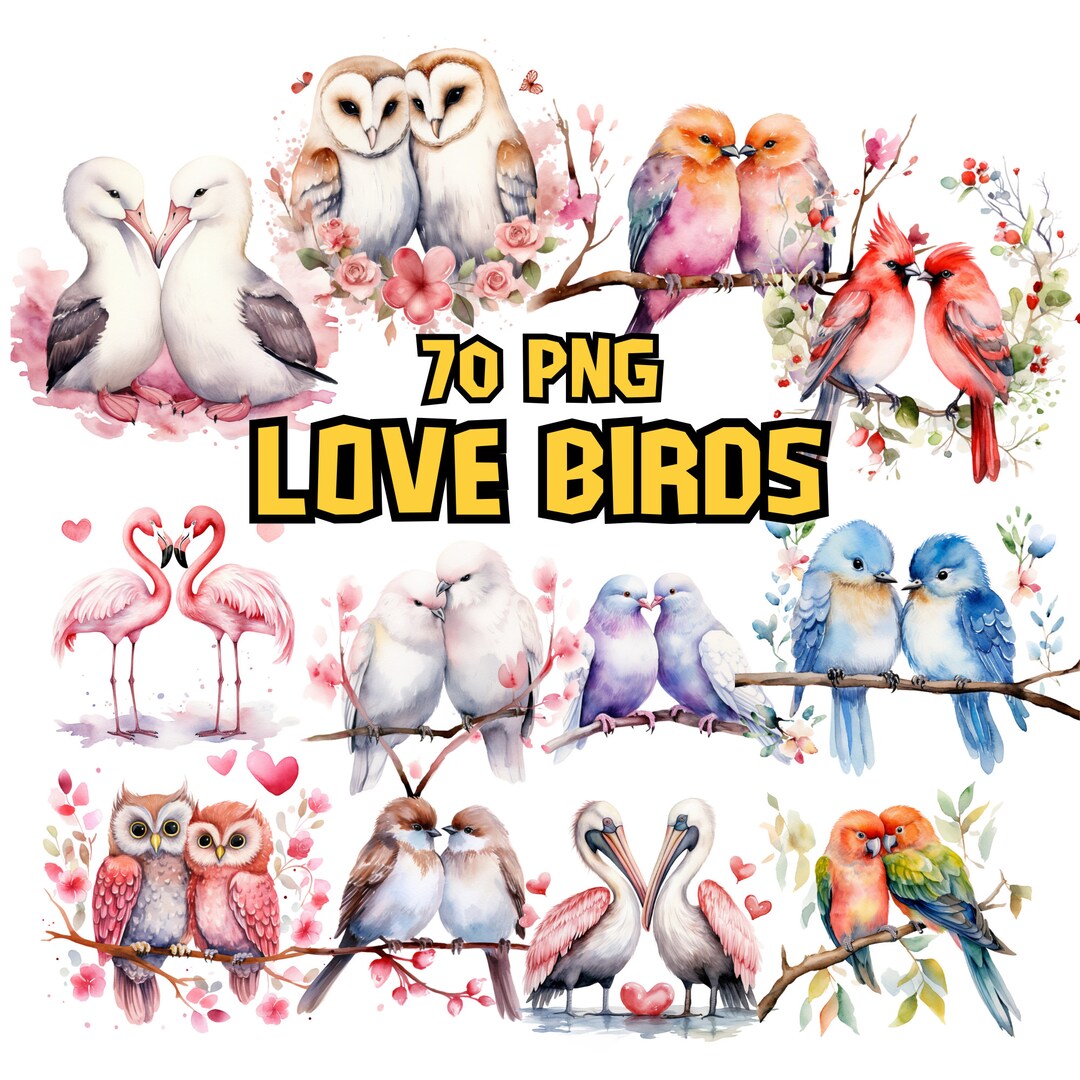Watercolor Lovebirds Clipart | Valentine's Day Images, Romantic, Cute ...