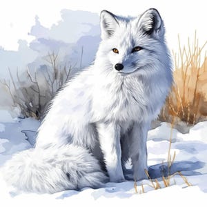 9 Arctic Fox Clipart Bundle, Winter Animal Illustrations, Printable ...