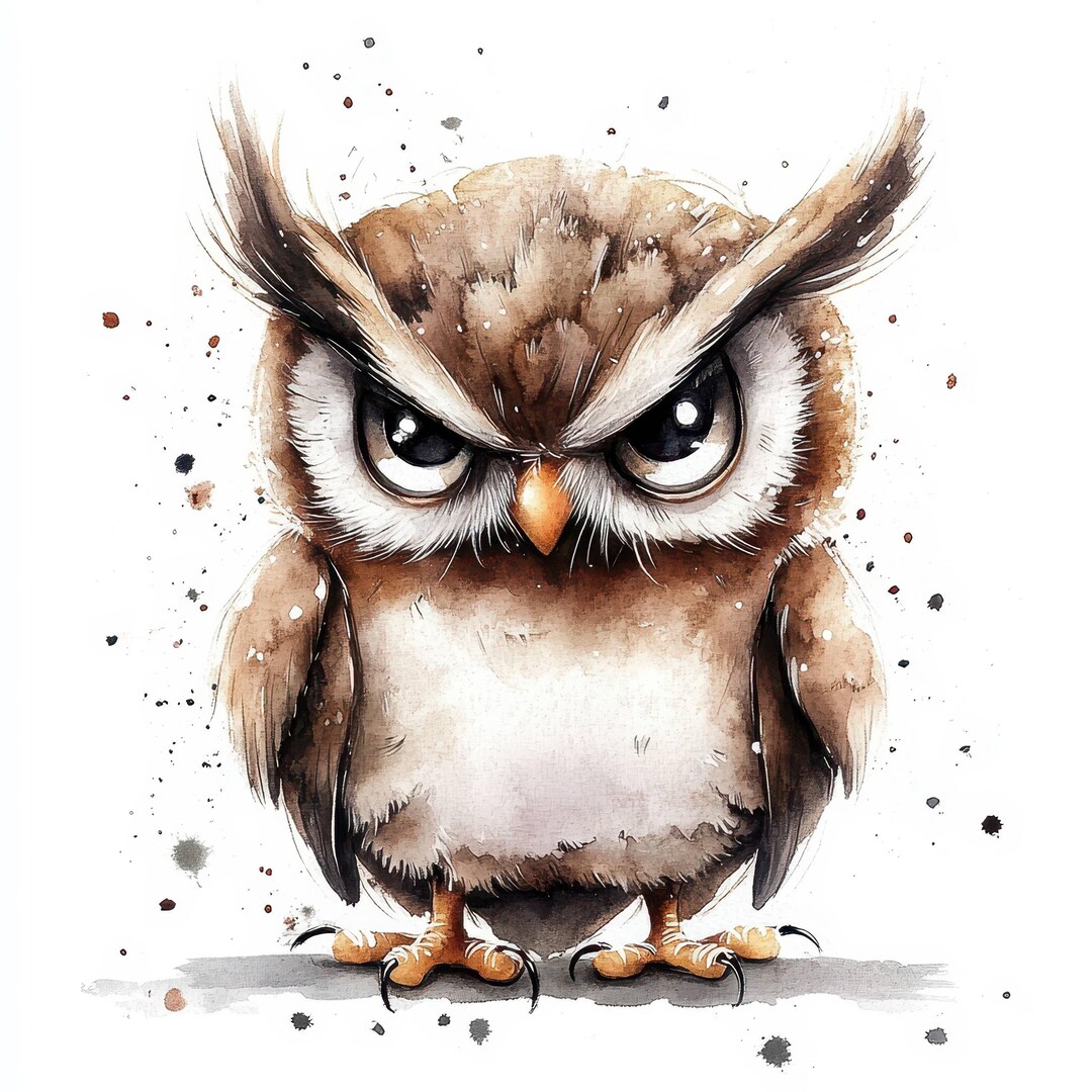 10 Grumpy Owl Clipart Bundle, Cute Owl Clipart, Digital Clipart ...