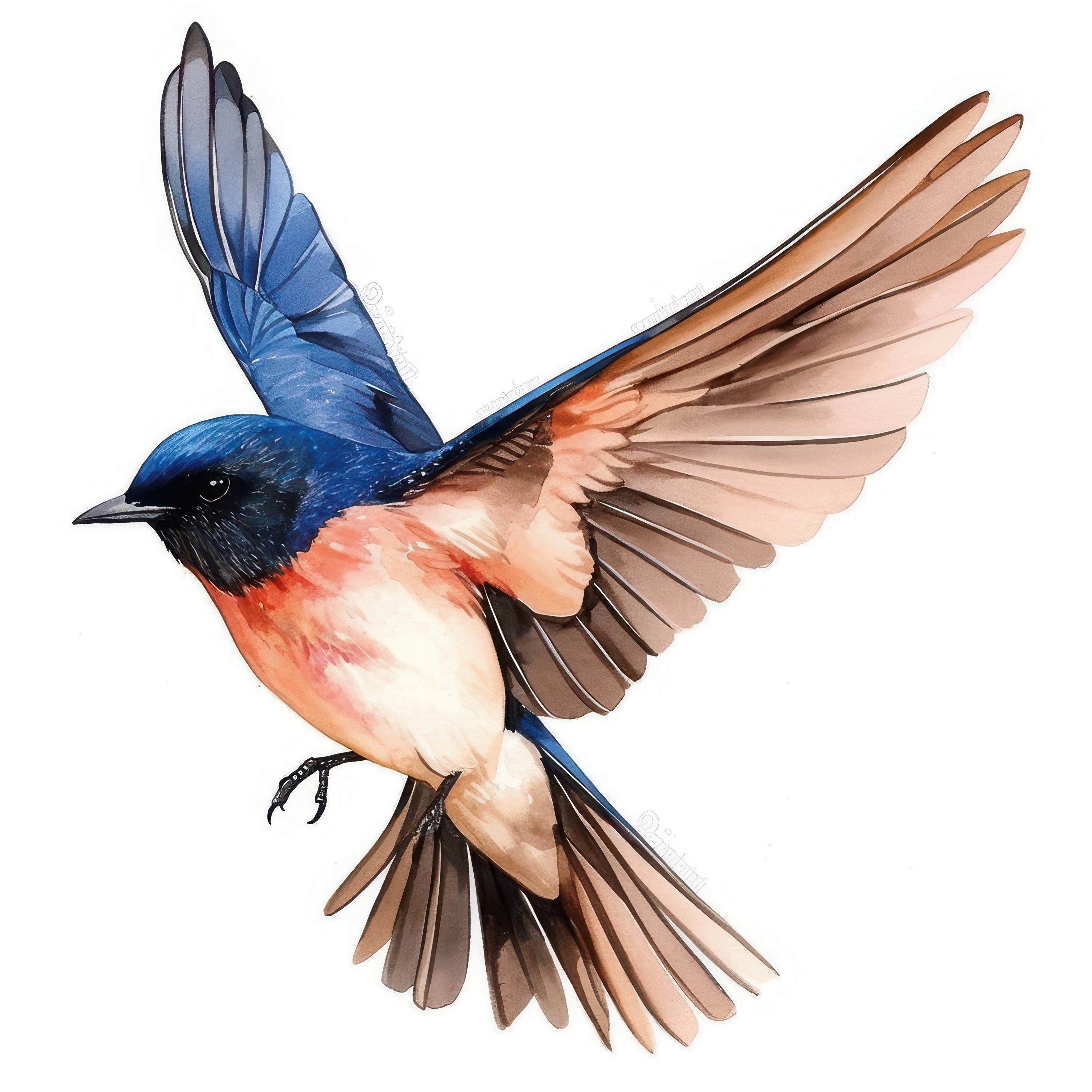 15 Swallow Bird Clipart Bundle, Bird Flying Images Illustrations ...