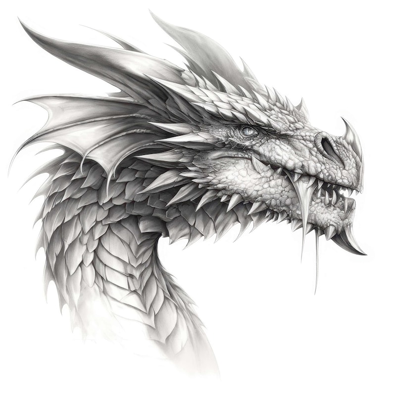 12 Dragon Profile Tattoo Clipart, Dragon Head Illustration, Printable ...