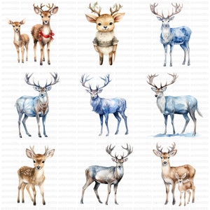Watercolor Reindeer Clipart Bundle, Painted Reindeer Clipart Set ...